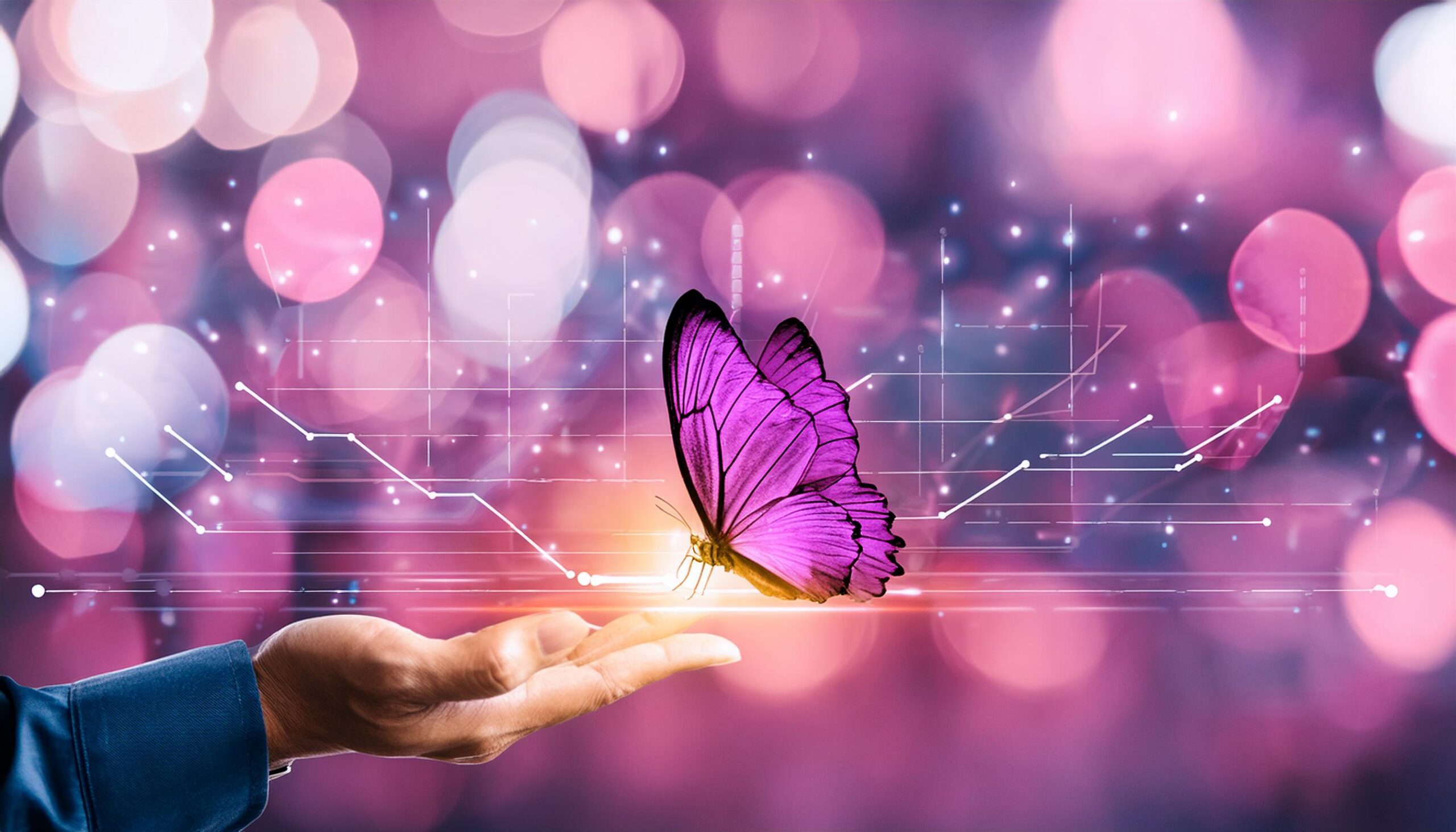 Digital Modernization - Lemon Marketing Consultancy Ltd